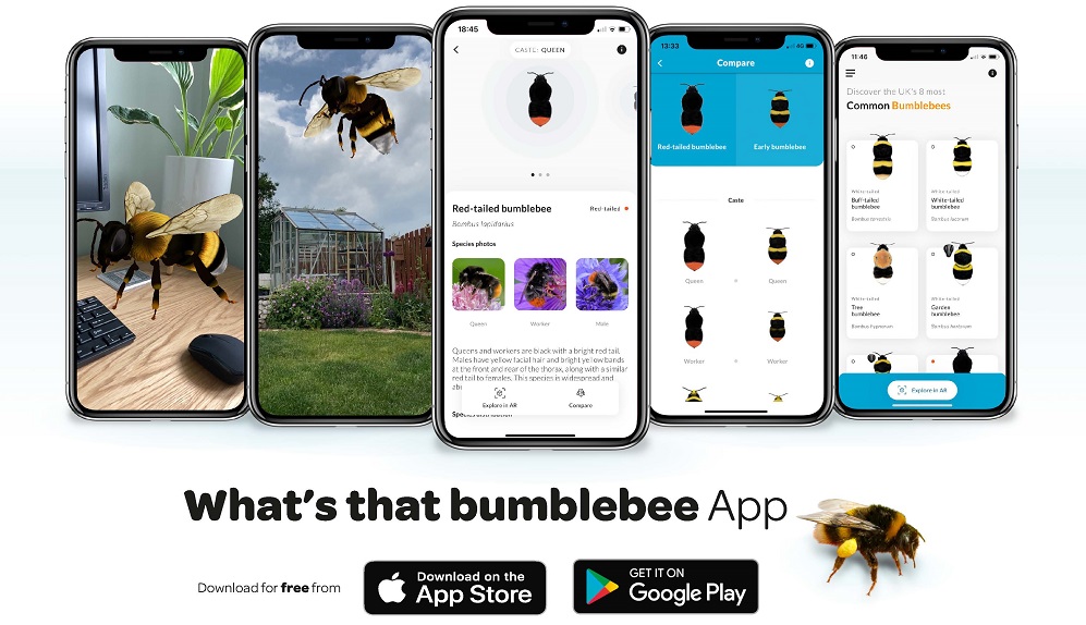 New Bee ID App launched – Medway Urban Greenspaces Forum