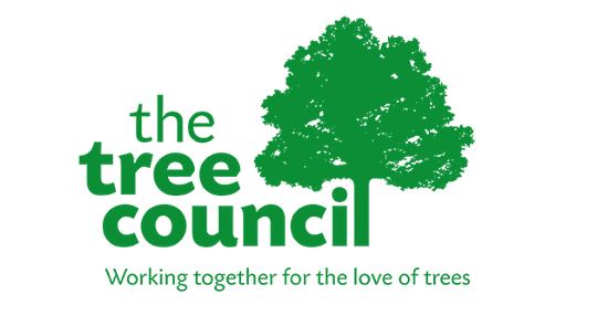 Help shape the future of our trees – Medway Urban Greenspaces Forum