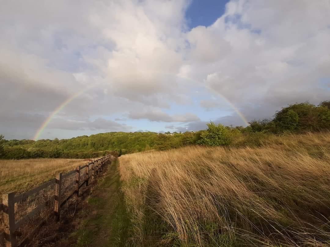 Focus on… Friends of Horsted Valley – Medway Urban Greenspaces Forum