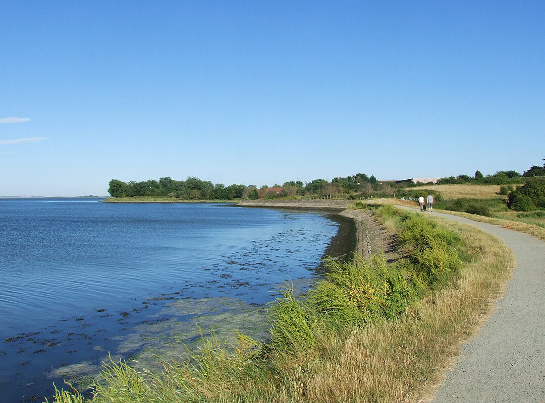Walking the Saxon Shore Way through Medway – Medway Urban Greenspaces Forum